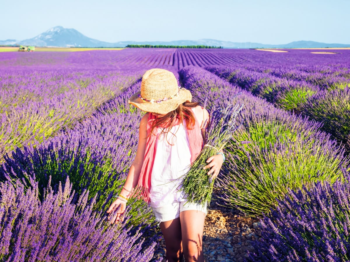 French Second-Group Verbs: What Defines Them? | Sprachcaffe