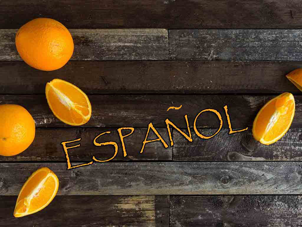 O vocabulário espanhol: Com estas palavras você falará como um falante ...